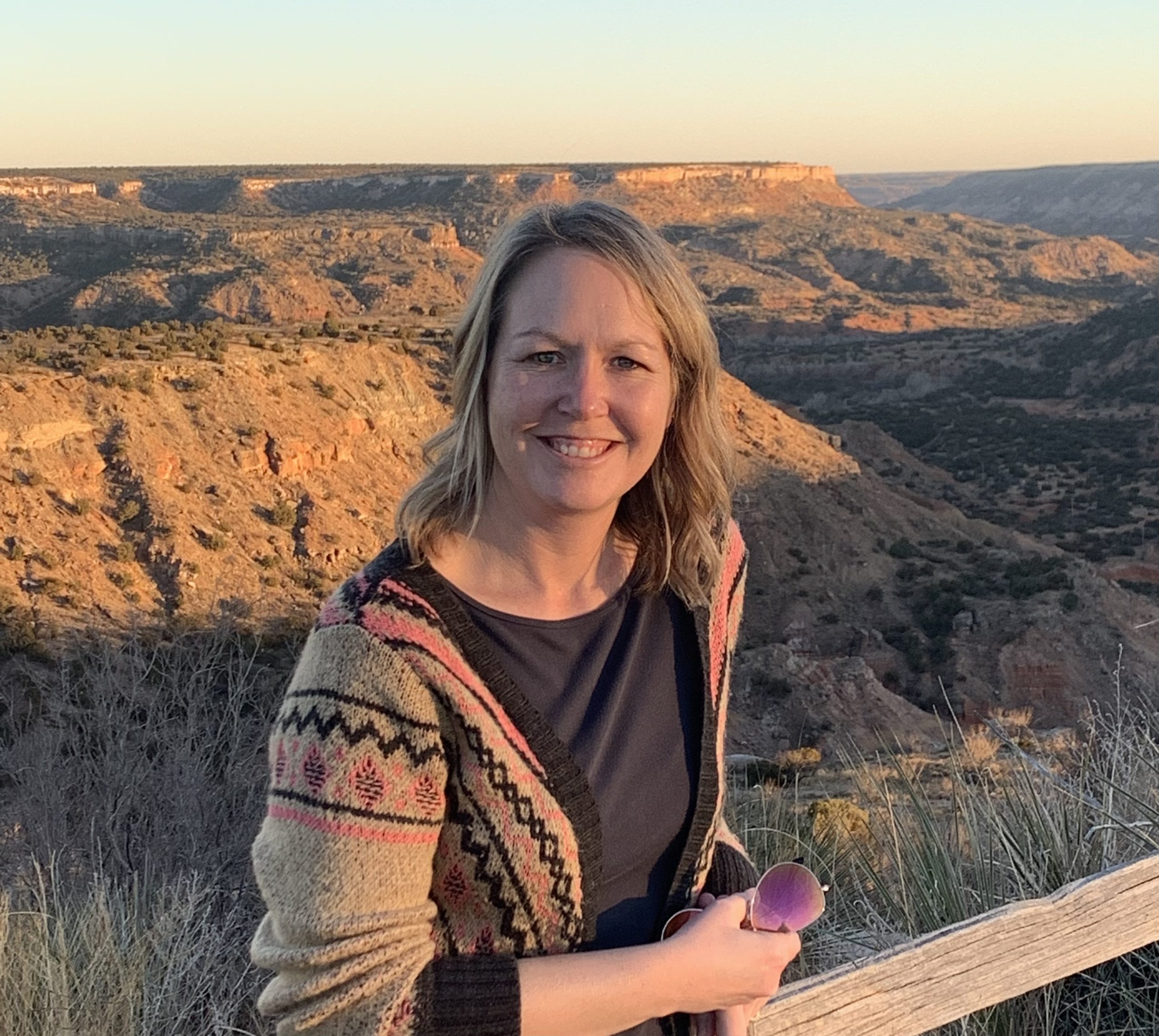 Directors-at-Large - Wisconsin TECHNOLOGY Education Association